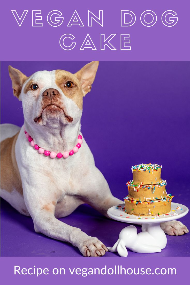 Vegan Dollhouse - Banana Cake for Dogs